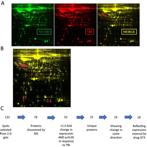 Detection And Selection Process For Identifying Proteins For Proteomic