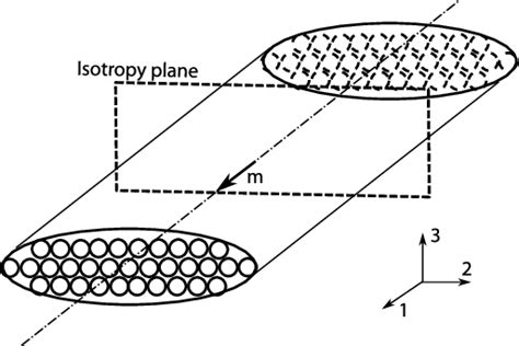 1 Yarn As An Transverse Isotropic Medium Download Scientific Diagram