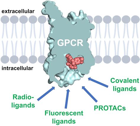 Chemistry A European Journal Vol 29 No 1 Chemistry Europe
