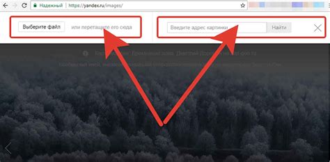 Поиск по фото или картинке в Яндексе
