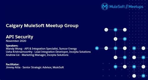 API Security Best Practices MuleSoft Meetup Incepta Solutions