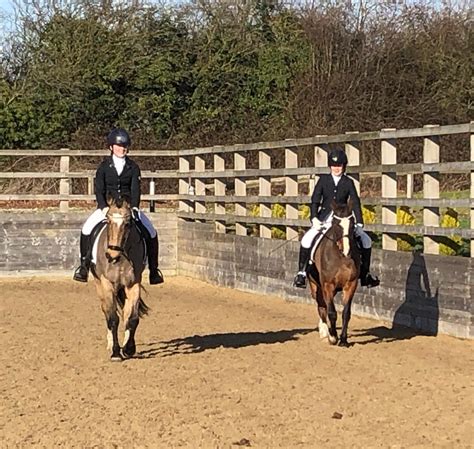 Dn Equine Sports Massage Therapy 💥myth Busting💥 Many People Wash