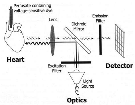 Optical Mapping Companies At Vaughn Gurule Blog