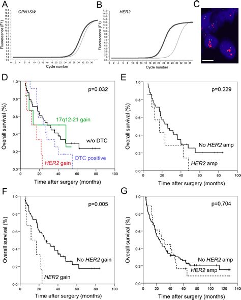Direct Genetic Analysis Of Single Disseminated Cancer Cells For