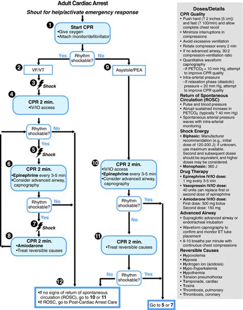 2010 Aha V Tach Algorithm