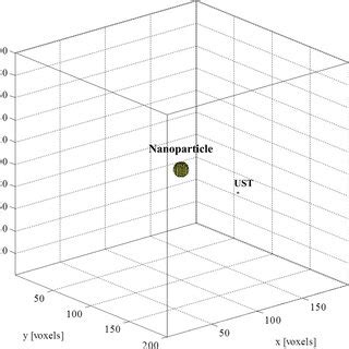 Photoacoustic Signal Generation Using K Wave Toolbox In MATLAB Download Scientific Diagram