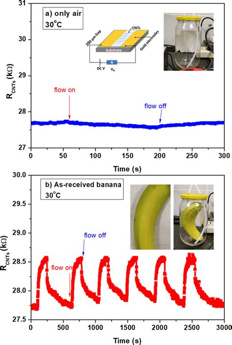 Sensor Output Versus Time In Case Of A Only Air Without A Banana And Download Scientific