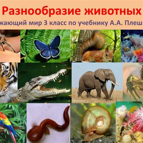 Окружающий мир 3 класс ТемаРазнообразие животных