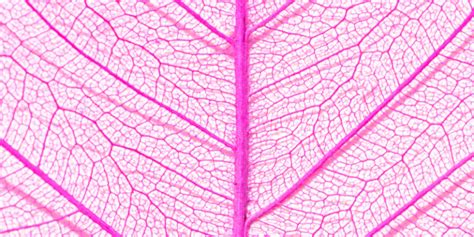 7 Tips For A Getting The Most From Code Scanning Tools Autorabit