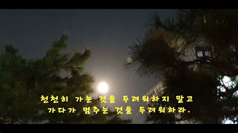 가다가 멈추는 것을 두려워하라 Youtube