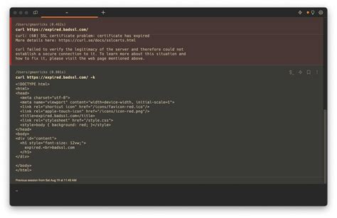 Ignoring Ssl Certificate Issues With Curl Warp