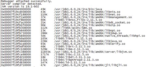 Java问题诊断和排查工具（查看jvm参数、内存使用情况及分析） 二哥的java进阶之路
