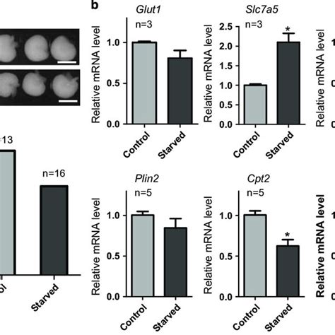 Alteration Of Size And Transcript Level Of Genes Involved In Metabolic Download Scientific