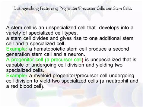 Stem Cells Pptx