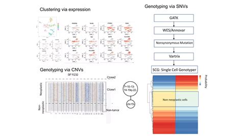 Single Cell Rna Seq Tutorial Ppt