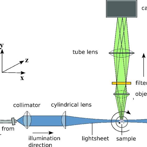 Pdf Multiview Reconstruction For 3d Images From Light Sheet Based Fluorescence Microscopy