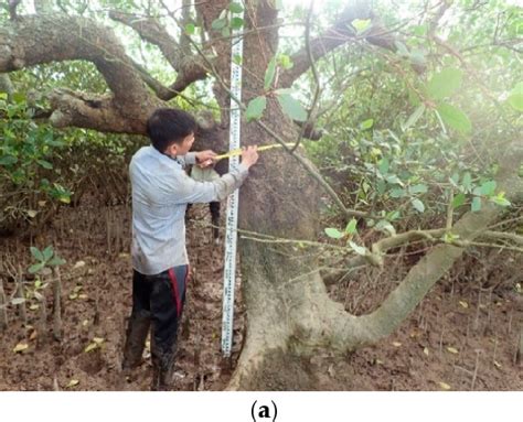 Figure 2 From Comparison Of Machine Learning Methods For Estimating