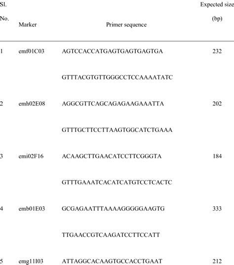 List Of Co Dominant Genomic Ssr Markers And Their Primer Sequences Download Table