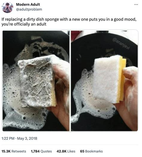35 Hilarious Cleaning Memes About Tackling Household Chores