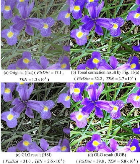 Flat Color Image Its Tonal Correction Result And Glg Results Using Hsi Download Scientific
