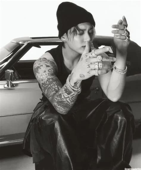 بوکسر دوست داشتنی عکس ویسگون