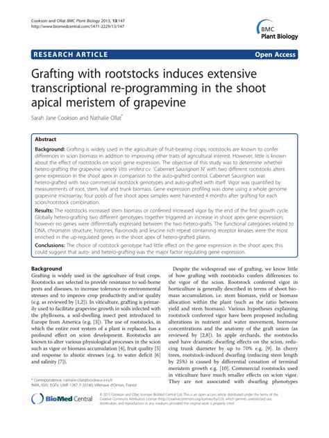 Pdf Grafting With Rootstocks Induces Extensive Transcriptional Re Programming In The Shoot