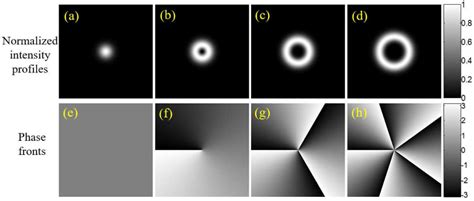 Figure 1 From Efficient Recognition Of The Propagated Orbital Angular