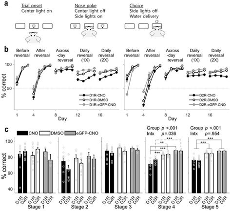 Distinct Roles Of Striatal Direct And Indirect Pathways In Value Based Decision Making Elife