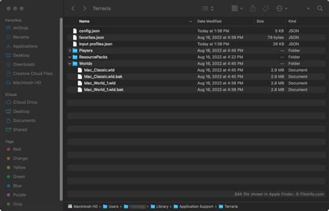 BAK File What Is A Bak File And How Do I Open It