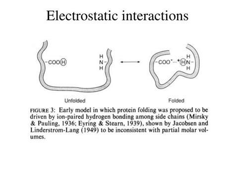 Ppt Interactions In Proteins And Their Role In Structure Formation
