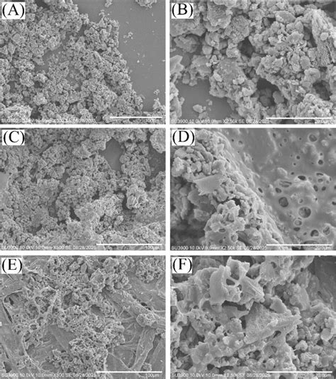 A Peculiar Polymer Paired With Sunlight Could Remove Pfas Eos