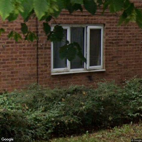 Windows Images Object Detection Dataset By Accuracy Info Labs