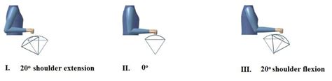 Three Examples Of Arm Configuration During Perturbation Experiments In Download Scientific