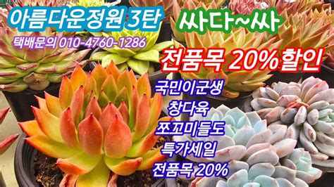 아름다운정원 3탄 특가세일 전품목 20할인 ♡론스타 ♡써클라인 ♡먼로♡보라해♡왈츠♡레드오션♡핑크몰리♡양진♡아리엘철화♡불꽃♡오스카 등등 이쁜아이들 많아요 Youtube