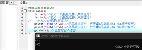 c语言学习之变量及基本数据类型转换 first use in this function csdn博客