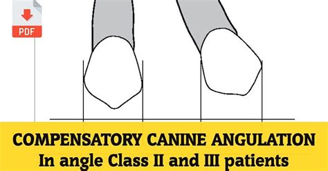 Pdf Compensatory Canine Angulation In Angle Class Ii And Iii Patients