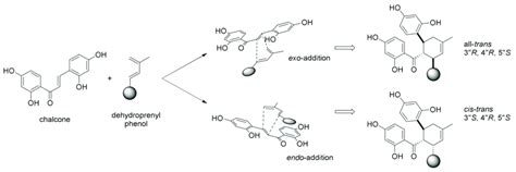 Key Biosynthetic [4 2] Cycloaddition And Absolute Configuration Of Download Scientific Diagram