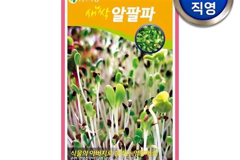 식물 새싹 알팔파 씨앗 12g 무소독 채소 수경 재배 씨 종자 오늘의집 쇼핑