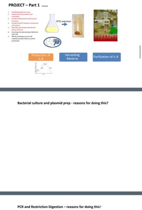 Solved 1describe Dome Upstream And Downstream Applications