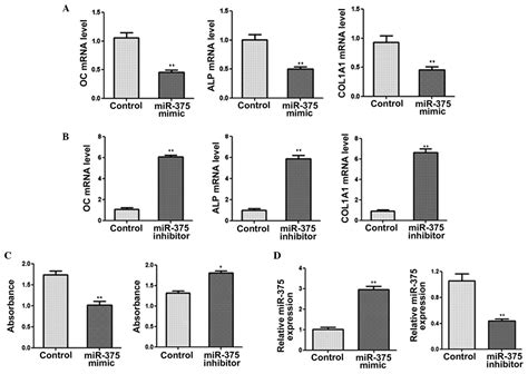 Microrna 375 Inhibits Osteogenic Differentiation By Targeting Runt