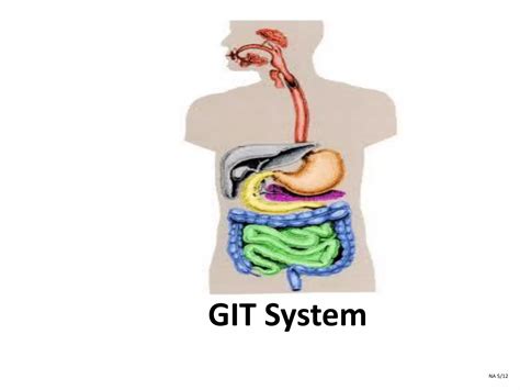 Gastrointestinal Tract Git Pdf
