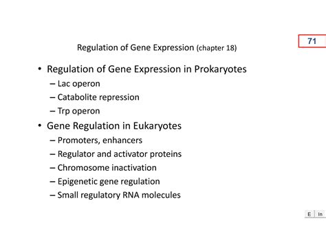 Genetics Part 3 Lecture Notes Part 3 Warning Tt Undefined