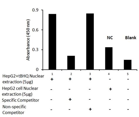 Human Nrf2 Transcription Factor Activity Assay Kit Raybiotech
