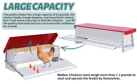 Automatic Chicken Feeder Rat Proof Galvanized Treadle Poultry Feeder Large