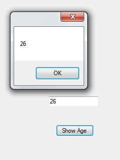 VB Net TEXTBOX Control Tutorial Properties With Example