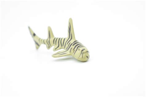 Zebra Bullhead Shark