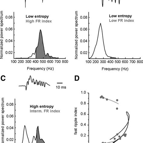 Computational Simulations Of Fast Ripple Oscillations A Fast Ripples Download Scientific