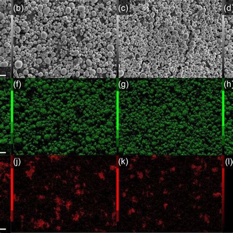 Sem Images From The Cross‐section Of The Electrode Formulation