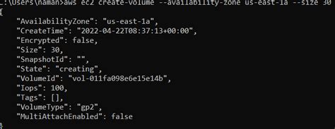 Add An Ebs Volume To Aws Ec2 Via The Aws Console And Cli
