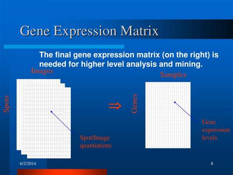 Ppt Microarray Databases And Miame Minimum Information About A Microarray Experiment